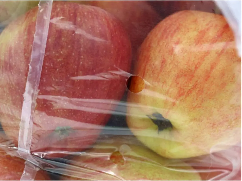 The Best Way to Store Apples Over Winter: Quick and Easy Tips